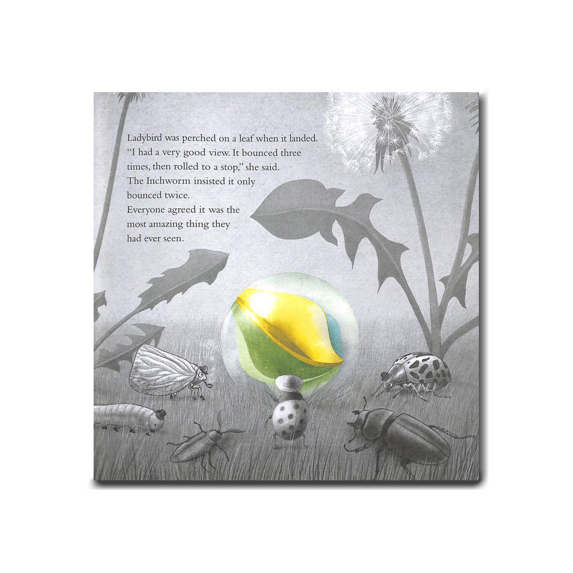 It Fell From the Sky - Eric Fan, Terry Fan 9780711270657 – SMALL-FOLK