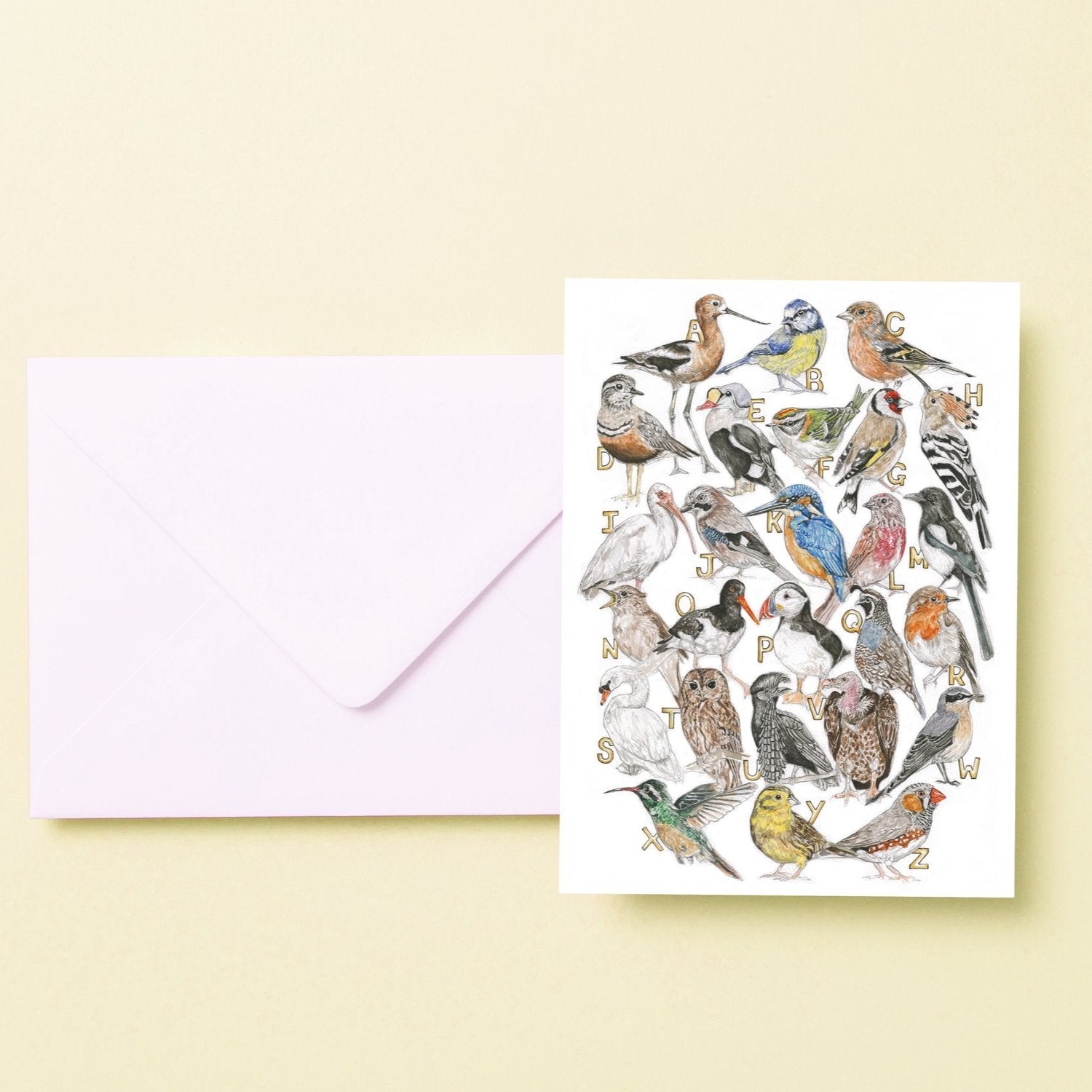 Kathryn Pow Bird Alphabet Greetings Card – SMALL-FOLK
