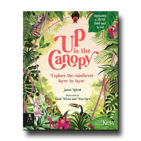 Templar Publishing Up in the Canopy Explore the Rainforest, Layer by ...
