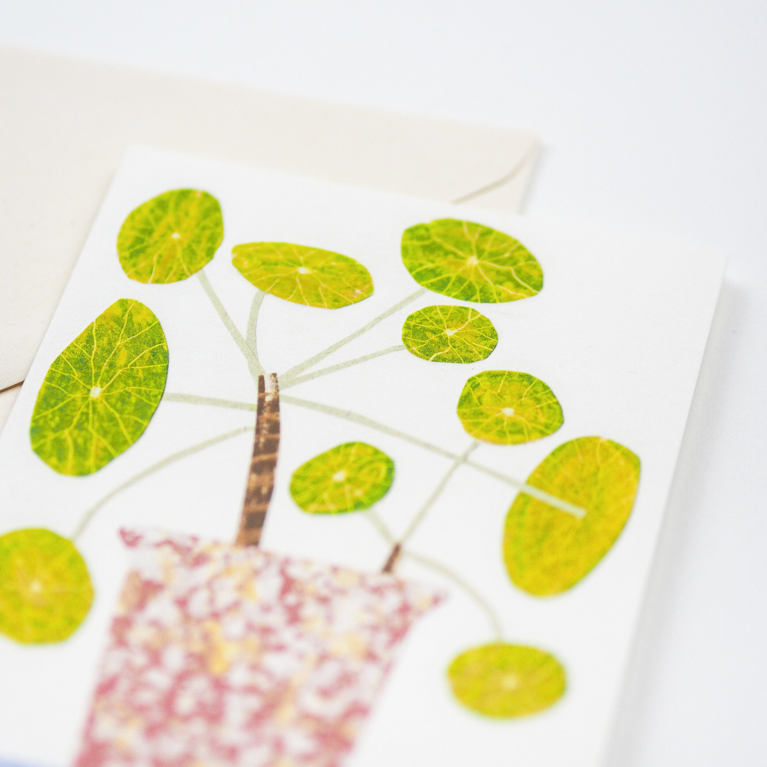 Hadley Paper Goods Pilea Pepermioides - Bobble Plant Card – SMALL-FOLK