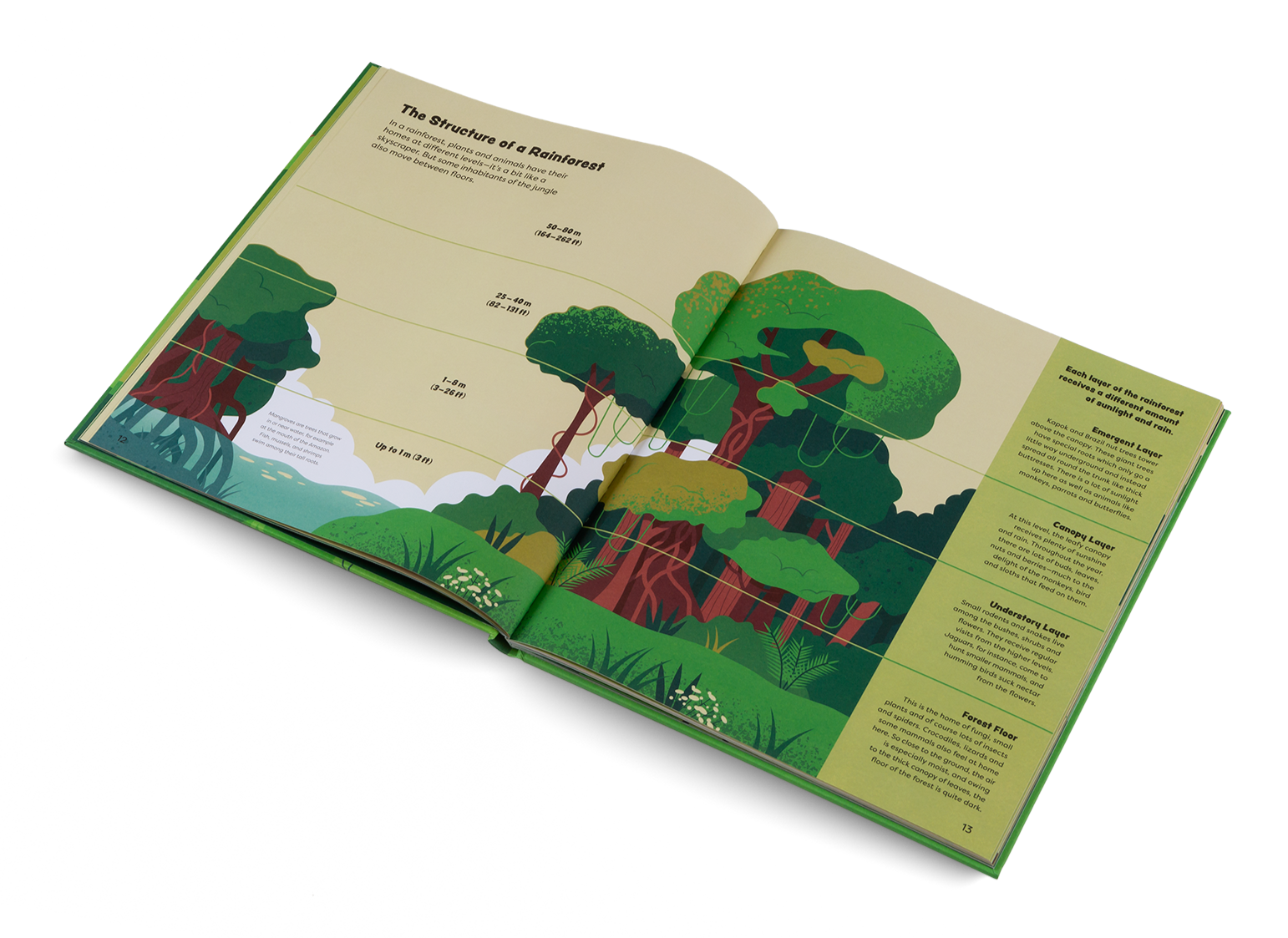 Little Gestalten Explore the Rainforest - Anne Ameri-Siemens, Anton ...